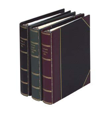 Corporate, LLC & Organizational Binders